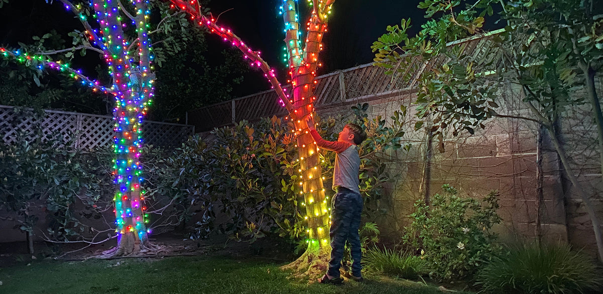 coloured solar string lights